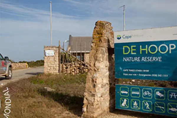 De Hoop Nature Reserve, South Africa: a guide to places to visit